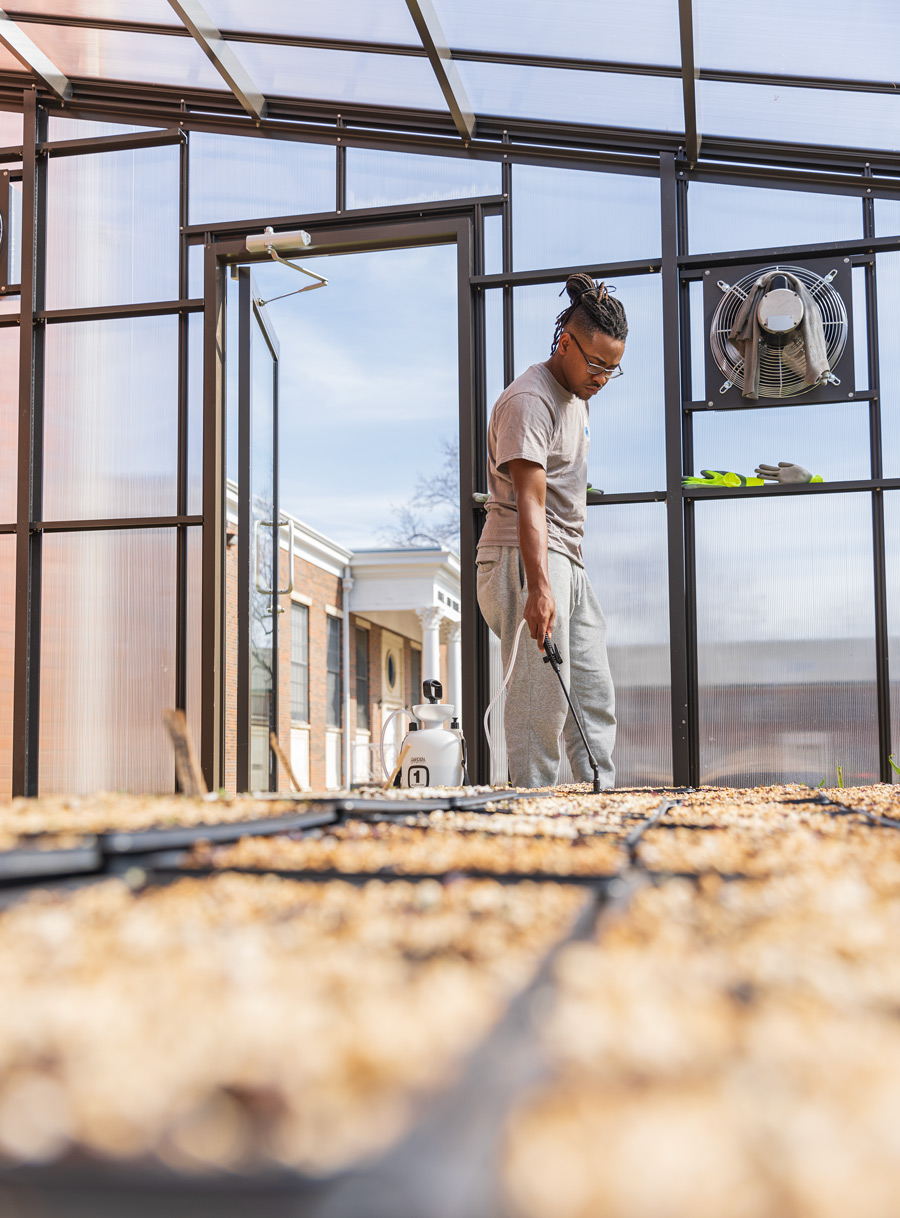 Rollins: Service learning opportunities helping prep for culinary ...